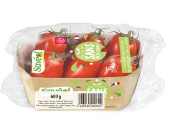 Tomate Torino sans pesticides | Saveol