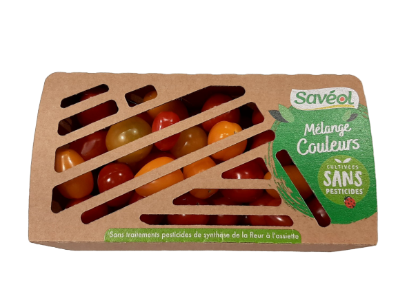 Tomate cerise sans pesticides | Saveol