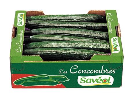 Concombre | Saveol