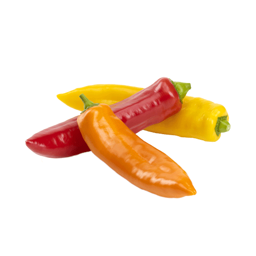 Nos poivrons | Saveol