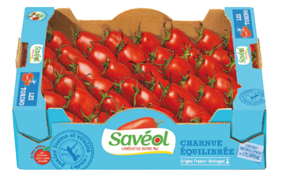 Tomate torino | Saveol